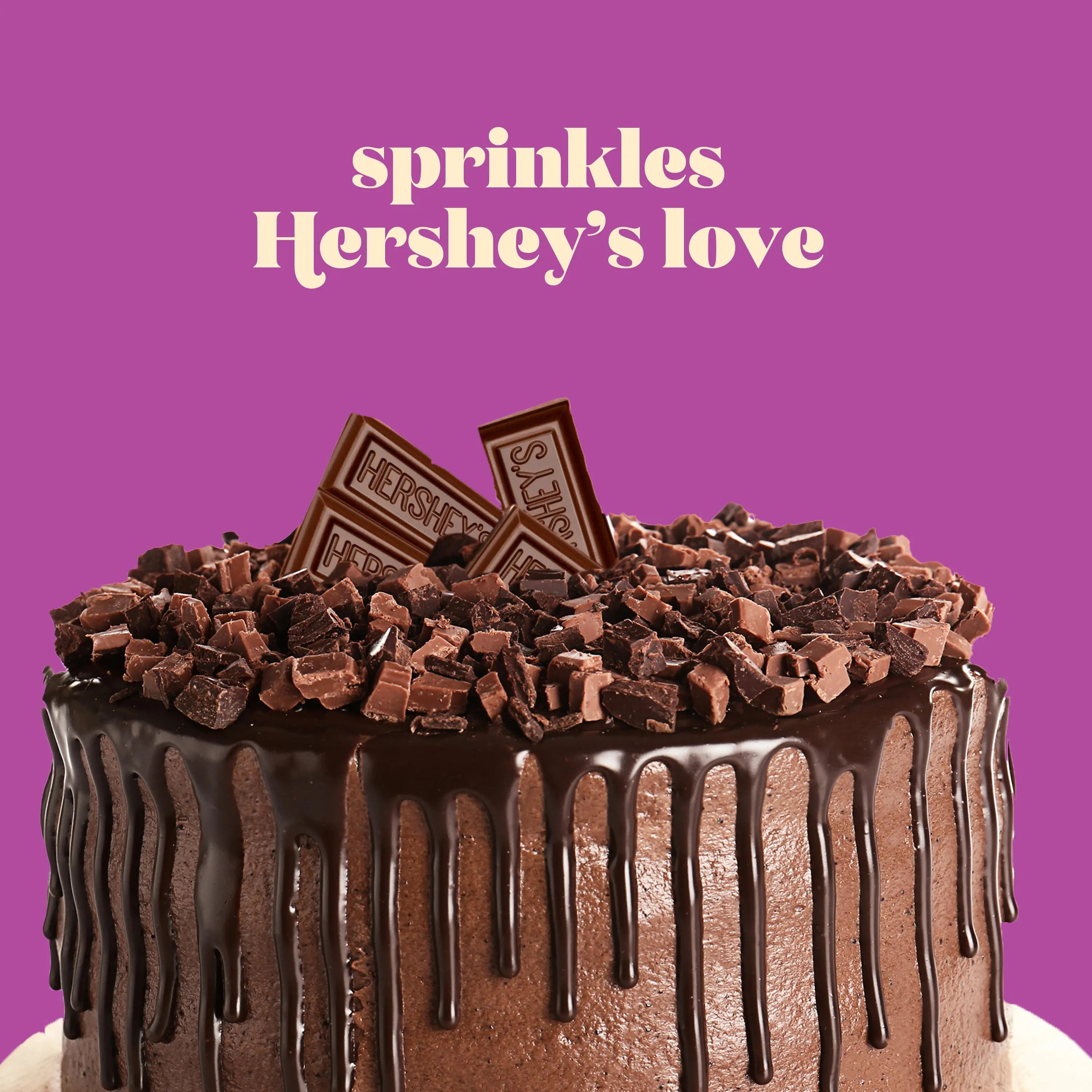 Hershey's Milk Chocolate Bar 40 gr – Click Cuisine